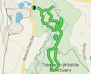 Tidmarsh Wildlife Sanctuary, Massachusetts - 260 Reviews, Map | AllTrails