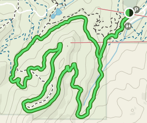 Philip S Miller Park Red Loop: 181 Reviews, Map - Colorado | AllTrails
