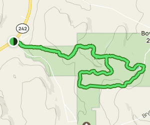 Boyce Hill State Forest Loop: 153 Reviews, Map - New York | AllTrails