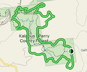 Kalabus - Perry Forest Loop: 247 Reviews, Map - New York | AllTrails