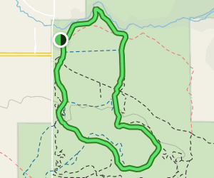 Cadillac Pathway Clam River Loop: 151 Reviews, Map - Michigan | AllTrails