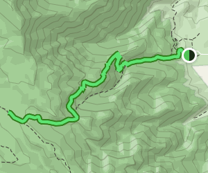 Olancha Pass and Summit Meadow: 39 Reviews, Map - California | AllTrails