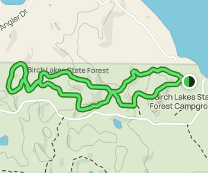 Birch Lakes State Forest Loop: 21 Reviews, Map - Minnesota | AllTrails