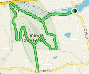 Hunnewell Town Forest Loop: 115 Reviews, Map - Massachusetts | AllTrails