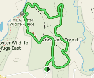 Woodward Loop: 90 Reviews, Map - Massachusetts | AllTrails