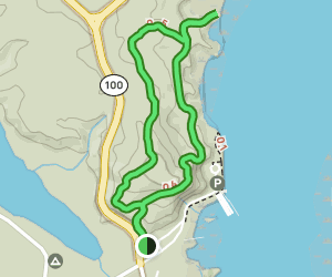 Coastal Forest Loop Trail: 96 Reviews, Map - Washington | AllTrails