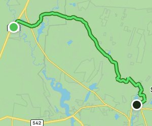 Batona Trail: Rt 563 to Bass River (Southern Trailhead): 82 Reviews ...