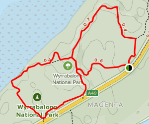 Burrawang Walking Track to Lilly Pilly Loop Link and Red Gum Trail ...