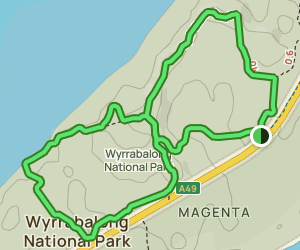 Burrawang Walking Track to Lilly Pilly Loop Link and Red Gum Trail ...