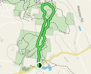 Shenipsit State Forest Blue Trail Loop, Connecticut - 117 Reviews, Map ...