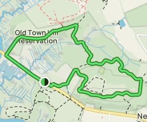 Old Town Hill and Newman Road Marshes: 195 Reviews, Map - Massachusetts ...