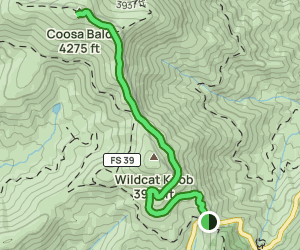 Coosa Bald via Coosa Backcountry/Duncan Ridge Trail | Map, Guide ...