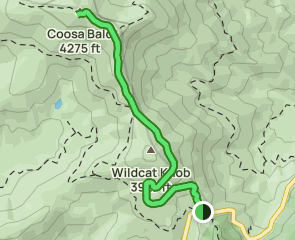 Coosa Bald via Coosa Backcountry/Duncan Ridge Trail, Georgia - 146 ...