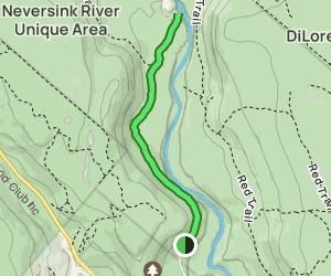 Neversink Gorge Blue Trail: 27 Reviews, Map - New York | AllTrails