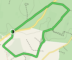 Halnaker Circular: 189 Reviews, Map - West Sussex, England | AllTrails
