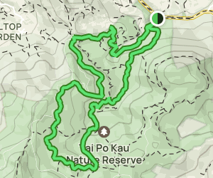 Tai Po Kau Forest Loop: 7 Reviews, Map - Tai Po, Hong Kong | AllTrails
