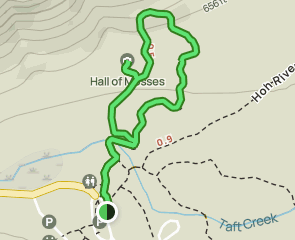 Hall of Mosses Trail, Washington - 5,158 Reviews, Map | AllTrails