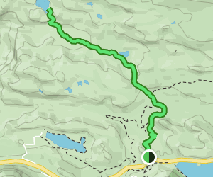 Lake Margaret Trail: 907 Reviews, Map - California | AllTrails