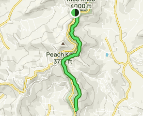 Mountains to Sea Trail: Craven Gap to Haw Creek Valley, North Carolina ...