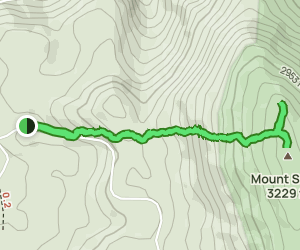 Mount Scott: 25 Reviews, Map - Tasmania, Australia | AllTrails