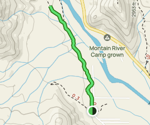 Bull Run Creek Trail: 294 Reviews, Map - California | AllTrails