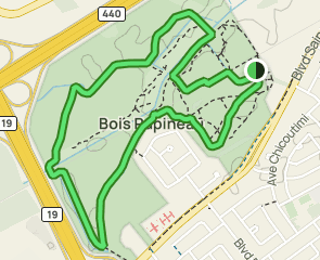Boucle des Bois Papineau, Quebec, Canada - 65 Reviews, Map | AllTrails