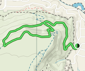 Ancient Palms and Basalt Cap Loop Trail: 197 Reviews, Map - Colorado ...