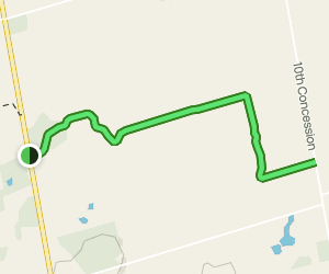 Oak Ridges Trail Schomberg: 8 Reviews, Map - Ontario, Canada | AllTrails