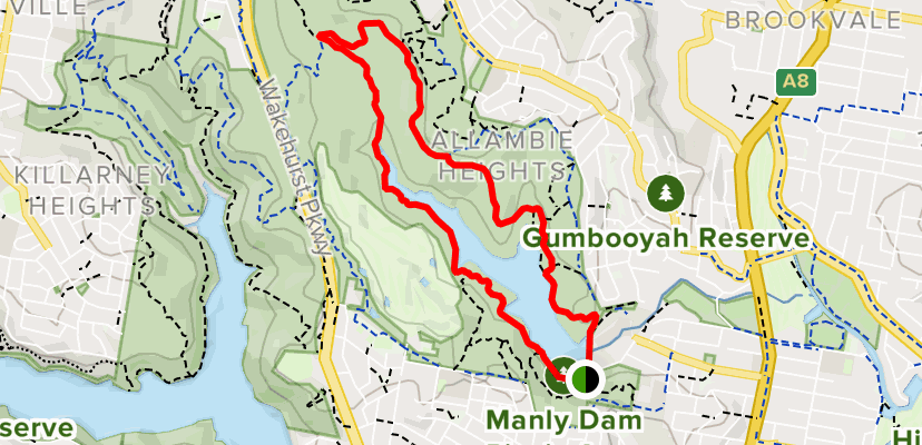 Is Manly Dam Dog Friendly