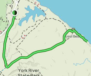 Mattaponi Trail to Fossil Beach: 259 Reviews, Map - Virginia | AllTrails