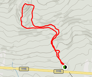 Seogwipo Forest of Healing - Jeju, South Korea | AllTrails