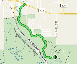 Withlacoochee River Paddle from Hog Island Boat Launch: 24 Reviews, Map ...