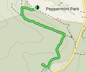 Kariong to Bulgandry Aboriginal Art Site: 22 Reviews, Map - New South ...