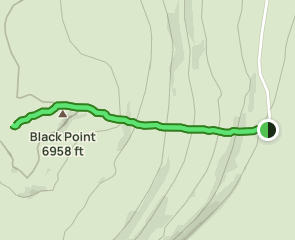 Black Point Fissures Trail, California - 135 Reviews, Map | AllTrails
