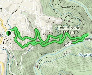 Tamaroo Bar Trail, California - 471 Reviews, Map | AllTrails