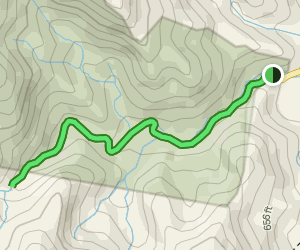 Cougal Cascades Track: 110 Reviews, Map - Queensland, Australia | AllTrails