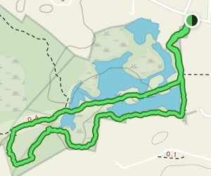 Pine Swamp Wildlife Corridor Yellow Loop: 31 Reviews, Map - Connecticut ...