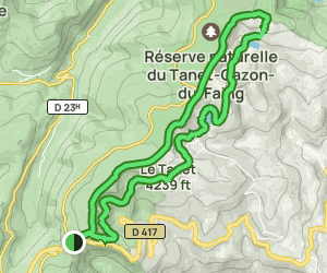 Lac Vert - Lac du Forlet - Soultzeren: 29 Reviews, Map - Haut-Rhin ...