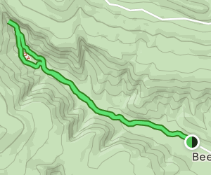 Lost Valley Trail: 2416 Reviews, Map - Arkansas | AllTrails