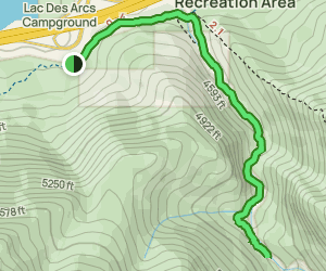 Heart Creek Trail: 2932 Reviews, Map - Alberta, Canada | AllTrails