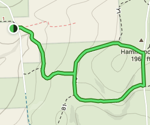 Hammond Hill Trail: 187 Reviews, Map - New York | AllTrails