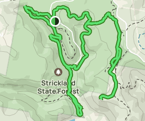 Strickland Forest Long Loop - New South Wales, Australia | AllTrails