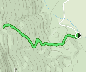Blue Hole Trail to Ellisons Cave: 77 Reviews, Map - Georgia | AllTrails