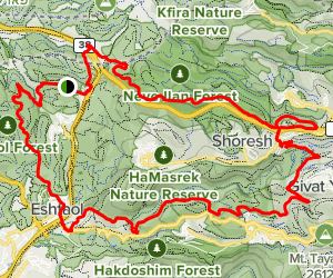 Eshtaol Forest, Judean Mountains and Kisalon Circuit | Map, Guide ...