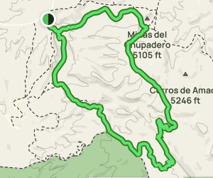 Bursum Spring Loop: 38 Reviews, Map - New Mexico | AllTrails