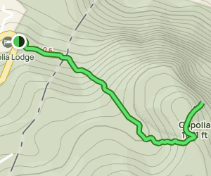 Copolia Trail: 59 Reviews, Map - Anse Etoile, Seychelles | AllTrails