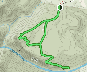 Vale of Avoca Walk | Map, Guide - New South Wales, Australia | AllTrails