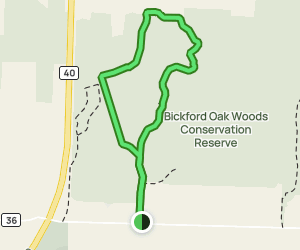 Bickford Oak Woods Conservation Reserve Loop: 2 Reviews, Map - Ontario ...
