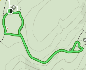 Laurel Ridge Shelter Trail, Pennsylvania - 49 Reviews, Map | AllTrails