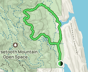 Swan Johnson Trail to Sawmill Trail to Shoreline Trail Loop: 349 ...